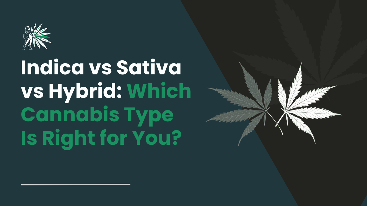 Indica vs Sativa vs Hybrid: A Guide to Cannabis Types Indica vs Sativa vs Hybrid: A Guide to Cannabis Types